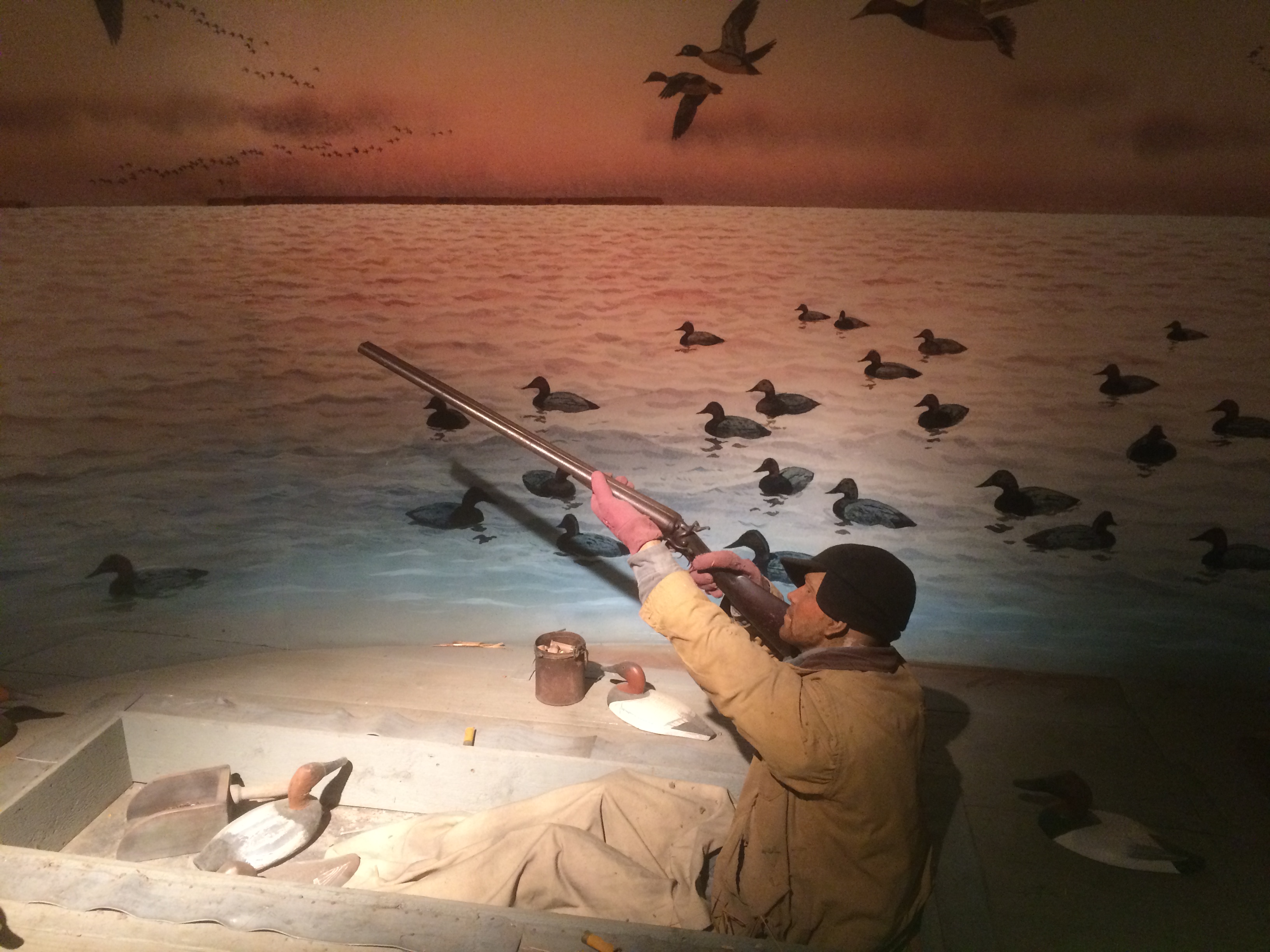 From the Bay Journal, a history of canvasbacks on Susquehanna Flats ...